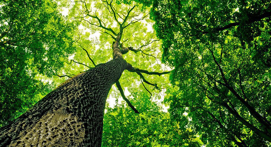 Geo-Environmental - The XRAIL Group